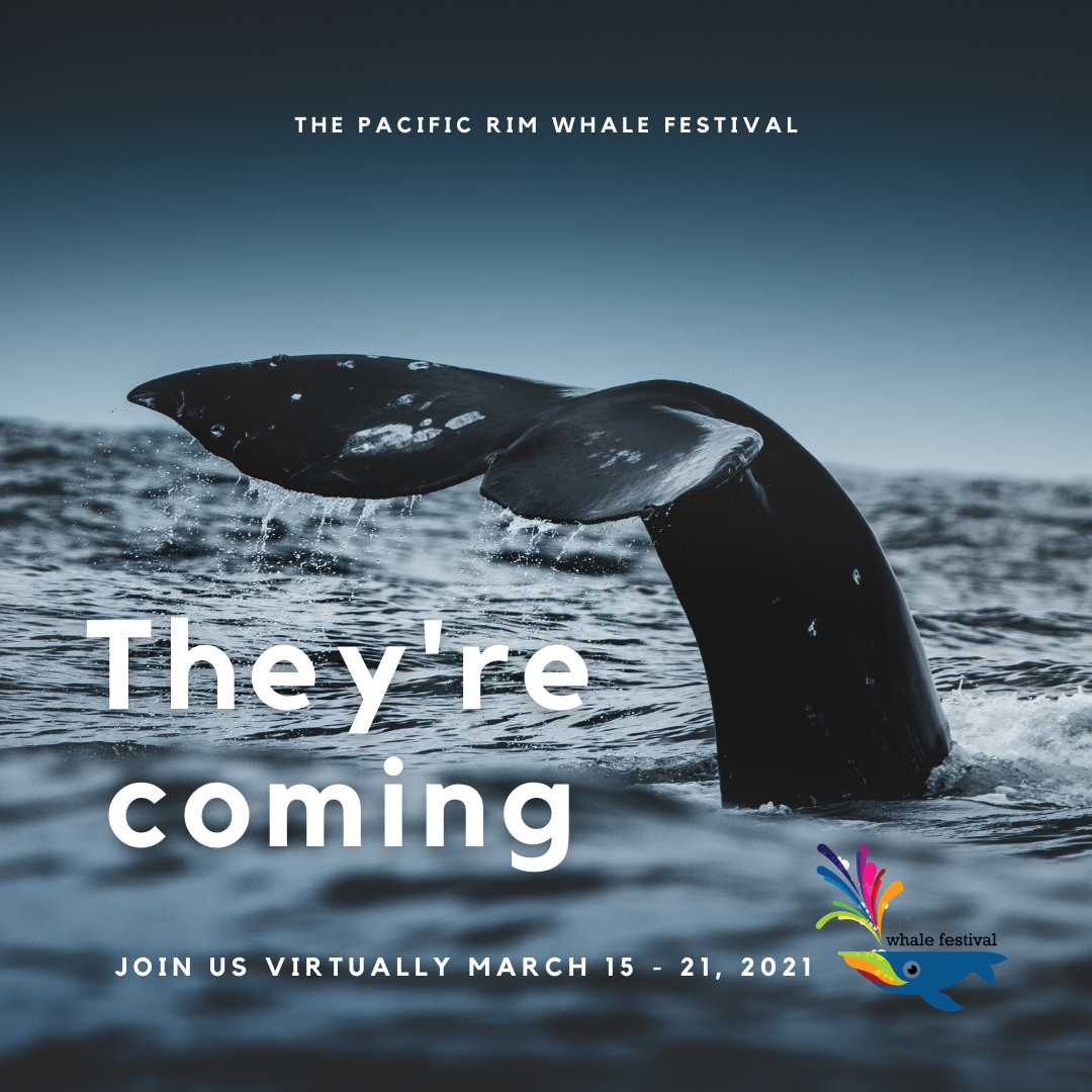 The Pacific Rim Whale Festival ft Owen_Crosby (1) - Vancouver Mom