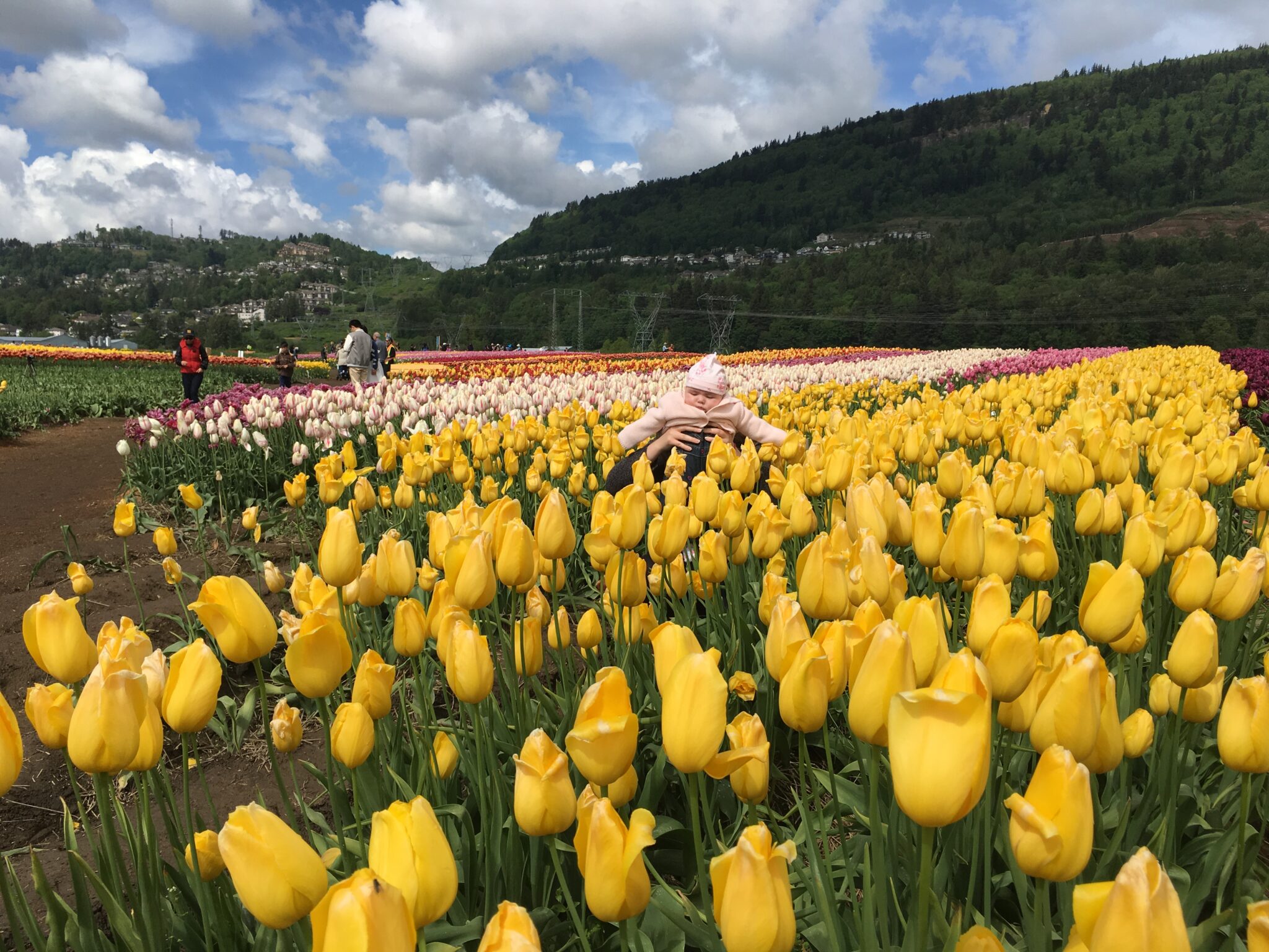 Flower Gardens in Metro Vancouver: 10 Spots to Visit- Vancouver Mom