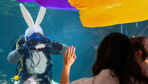 VAQ24_ATTRACTION_ScubaBunny_600x400-2 - Vancouver Mom
