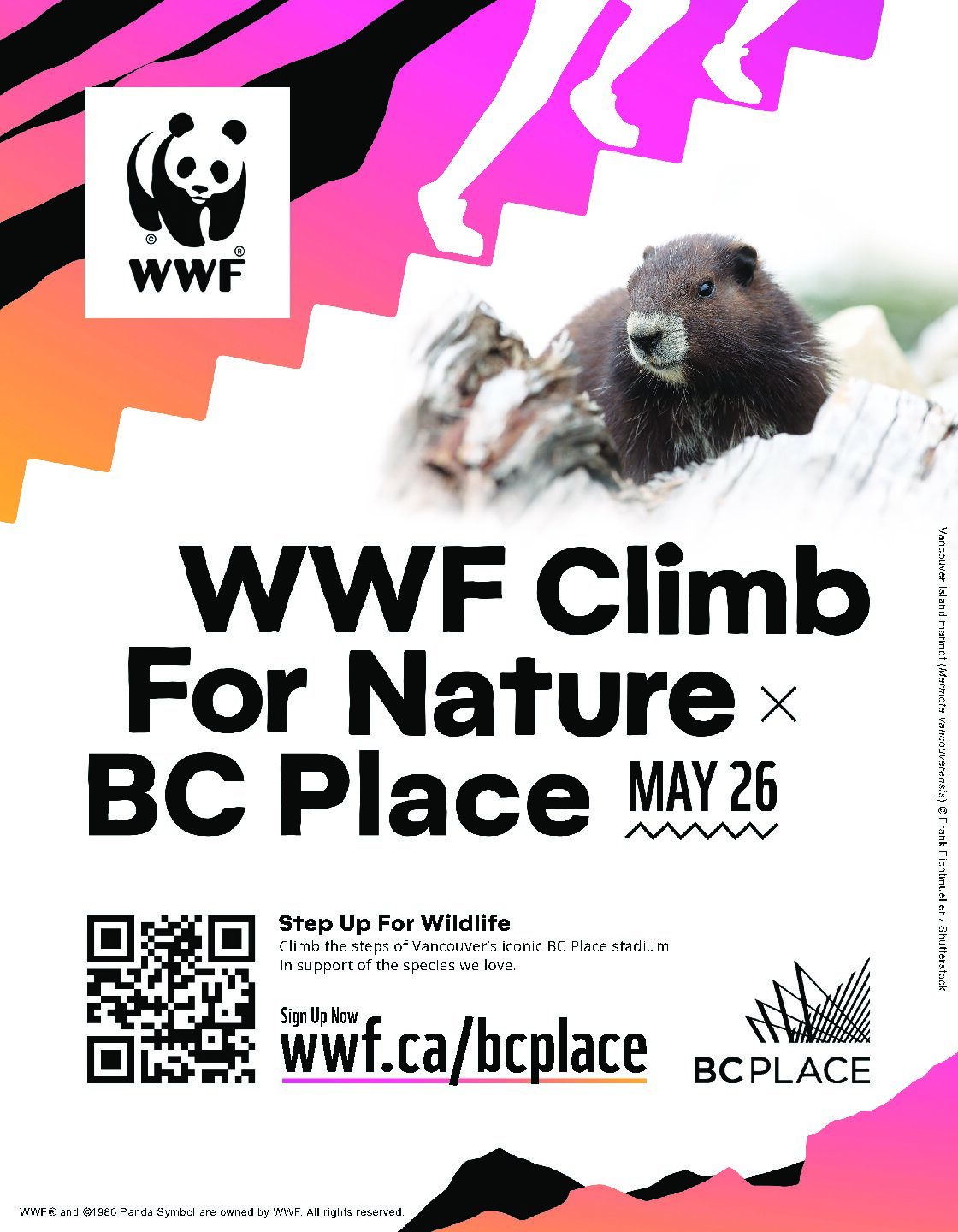 WWF Canada Climb For Nature - Vancouver Mom